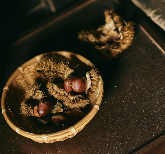 ENGLISH | okudo中村舎