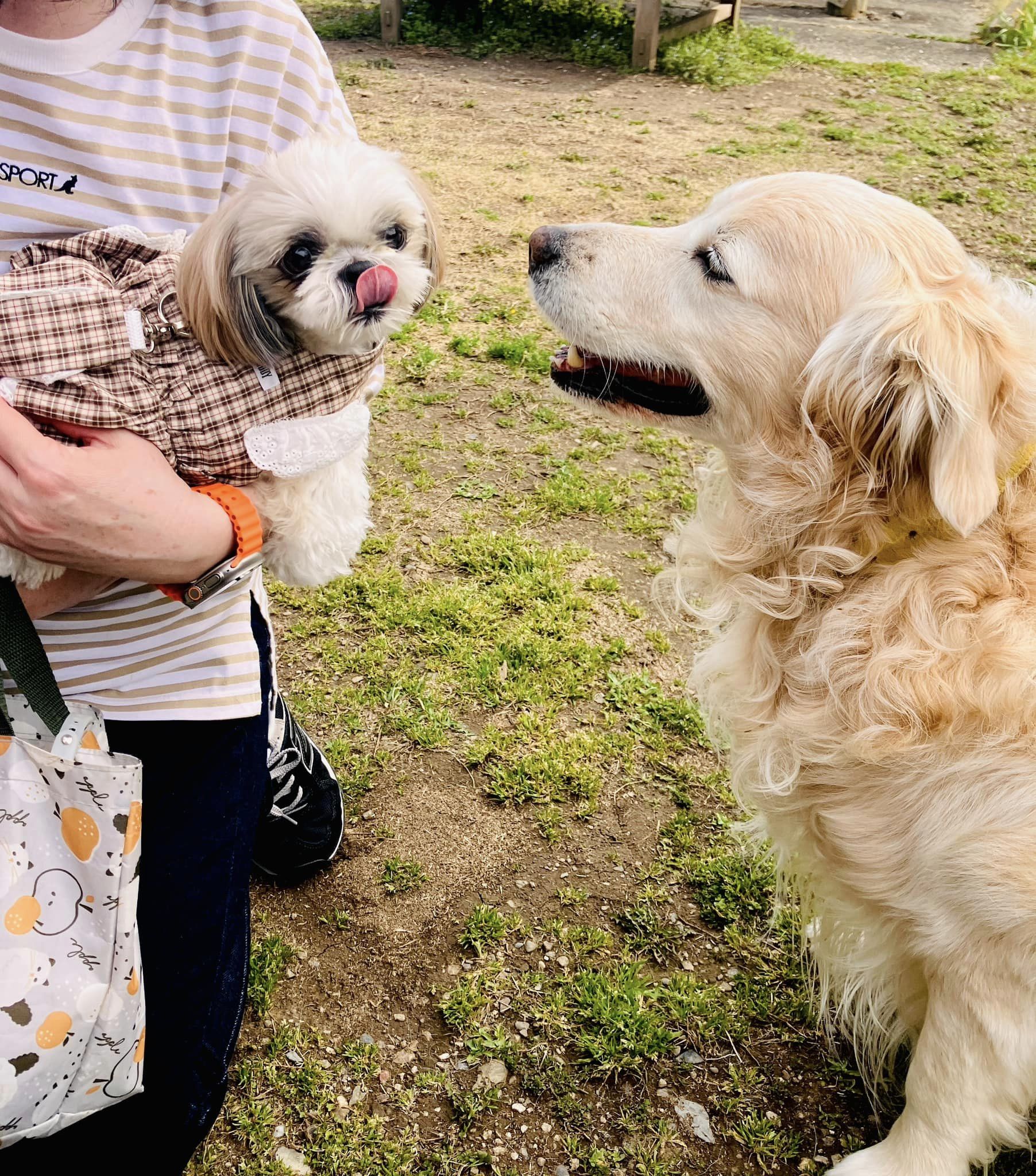 【okudo中村舎はワンコ連れオッケー👌】 | okudo中村舎