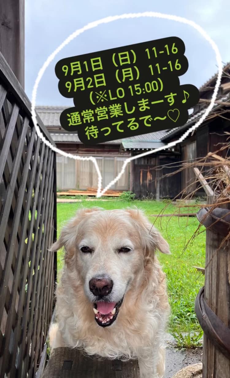 【9月1日（日）.2日（月）通常営業します🌻】 | okudo中村舎